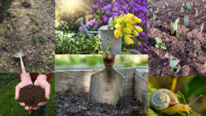5 tips you can apply in the spring flower garden - DecorateLife